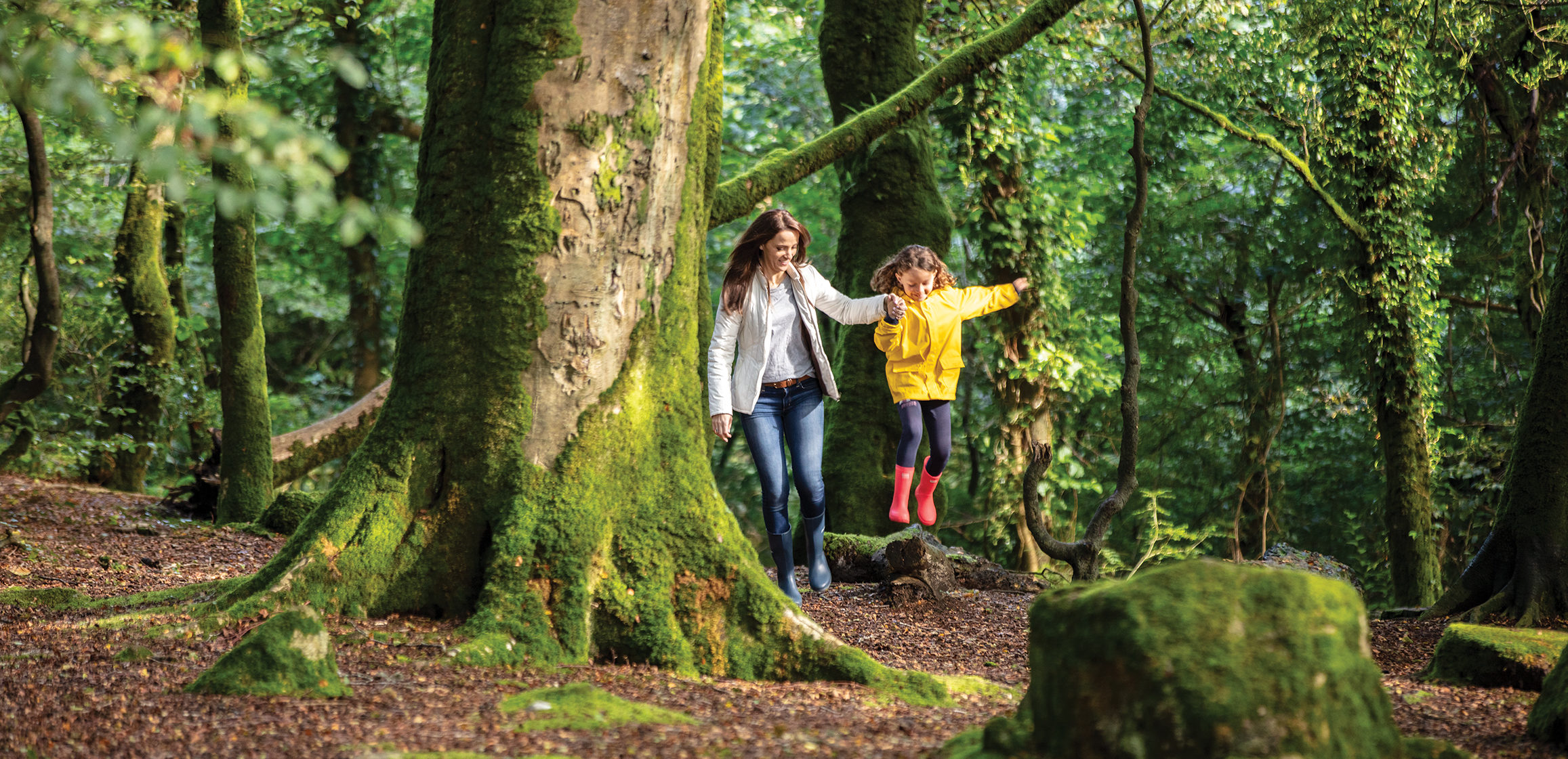 Have you heard about Irish super supplement range, Revive Active? - VIP ...