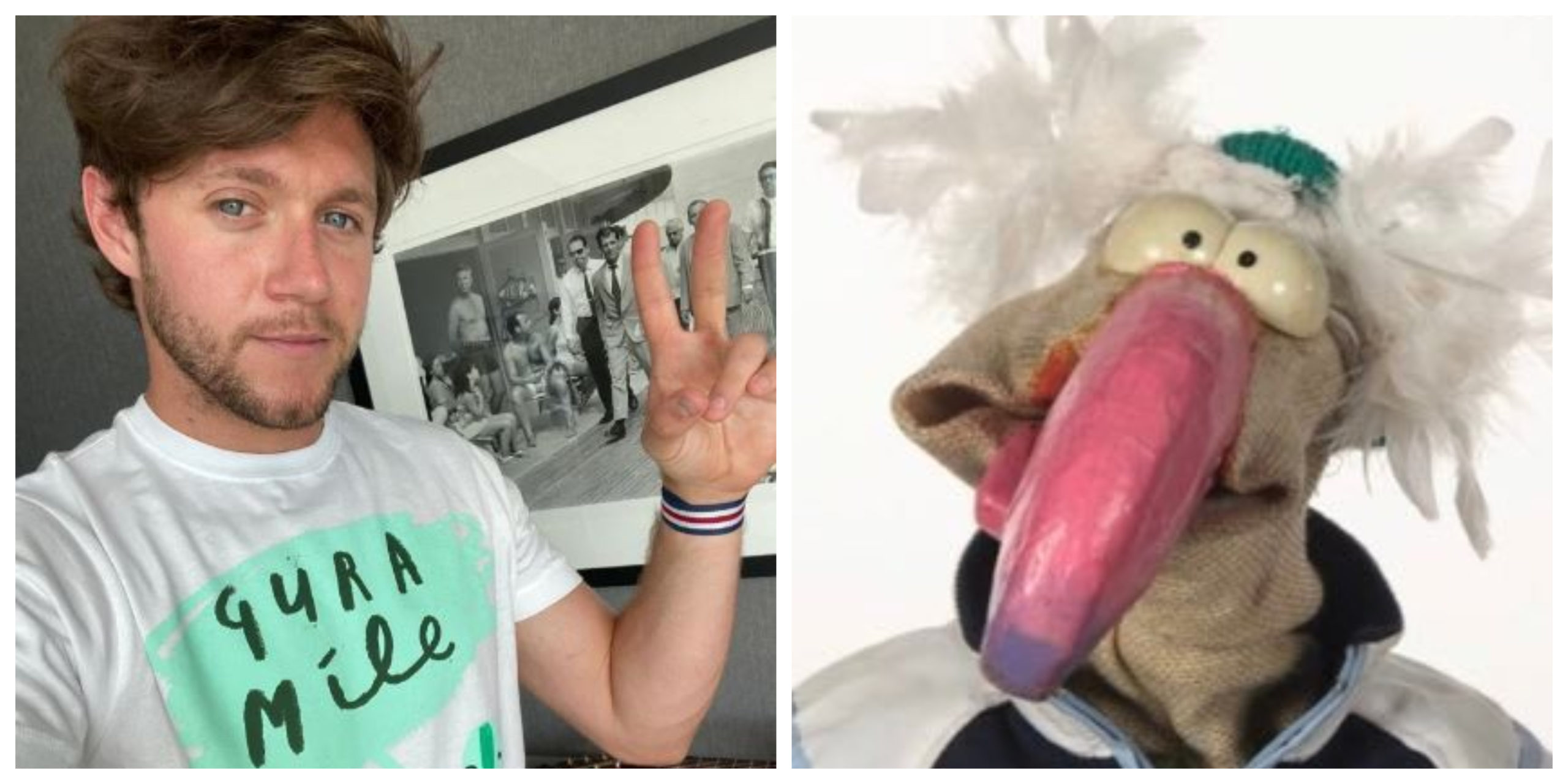 Dustin the Turkey is being cancelled on Twitter, and it is hilarious ...