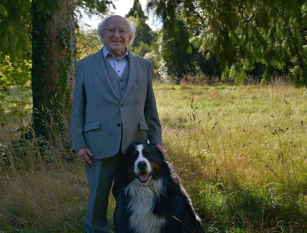 Michael D Higgins has shared that one of his dogs, Síoda, has passed ...